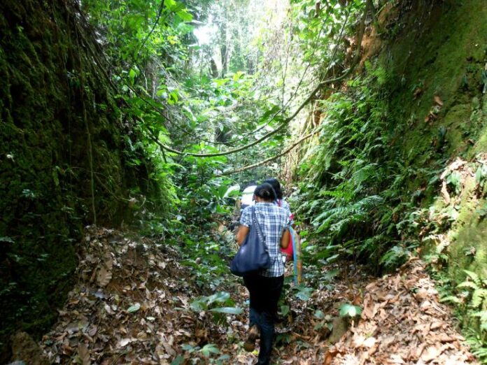 Sungbo Eredo: Archaeologists Find A Yoruba City From The 9th Century ...