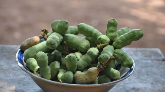 15 Amazing African Fruits To Try | I Love Africa