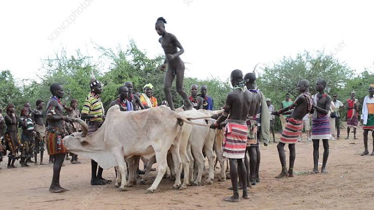 Exploring The Rich Tradition Of The Bull Jumping Ceremony Of The Hamar ...
