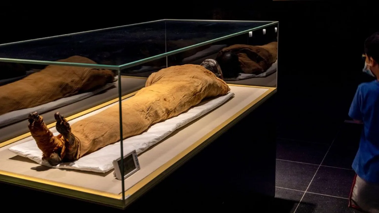 Discovery Of Pharaoh Thutmose II’s Tomb Marks Egypt’s Biggest Find ...